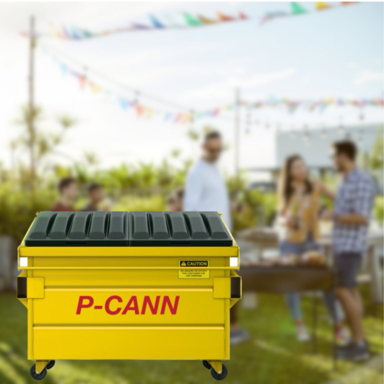 Bin It to Win It: Streamline Your Late-Summer Projects with Bin Rentals ...